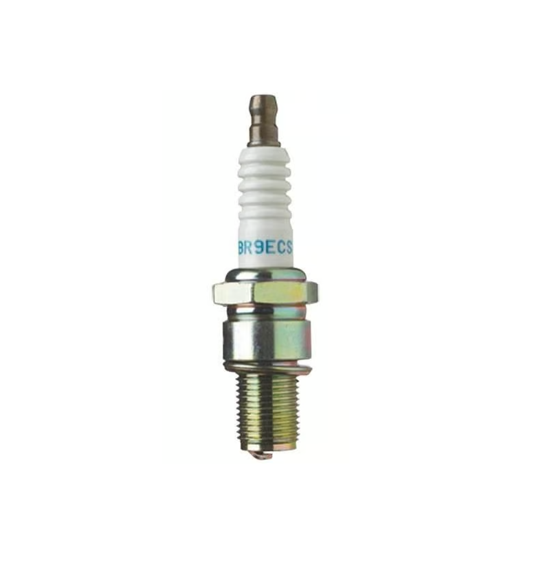 Can-Am Spark Plug, NGK DCP-R8E - 715900642 – DDRV.com